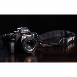 Sony A6000 vs. A6100 vs. A6400 vs. A6600: Ultimate Comparison & Verdict ...