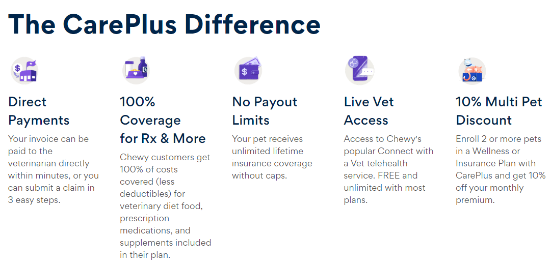 Meet CarePlus! A Pet-First Approach to Wellness & Insurance @ Chewy ...